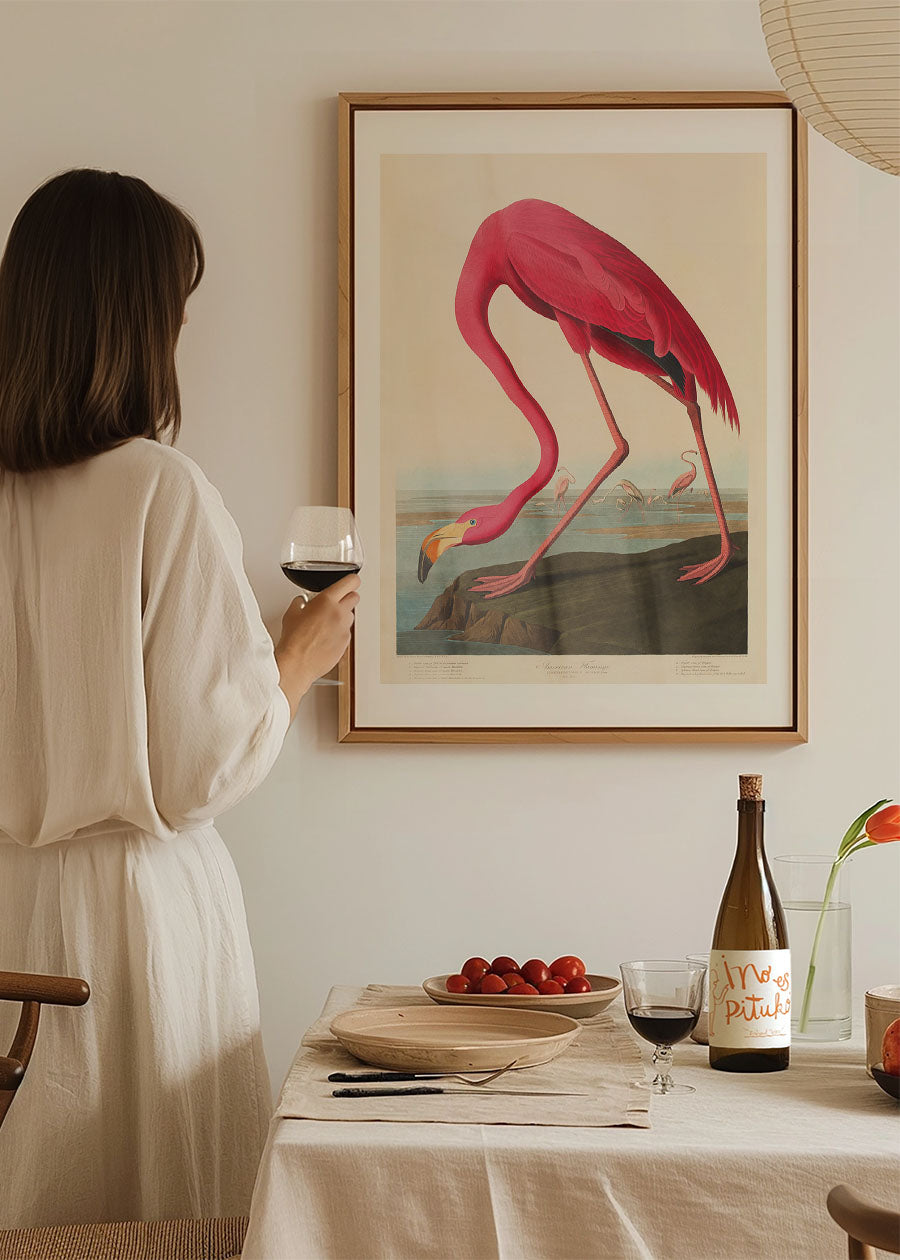 American Flamingo Vintage Antique Bird Print – InkAndDrop