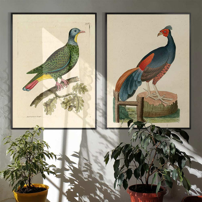 Bird Art Prints, Wall Art & Posters | Ink & Drop – InkAndDrop