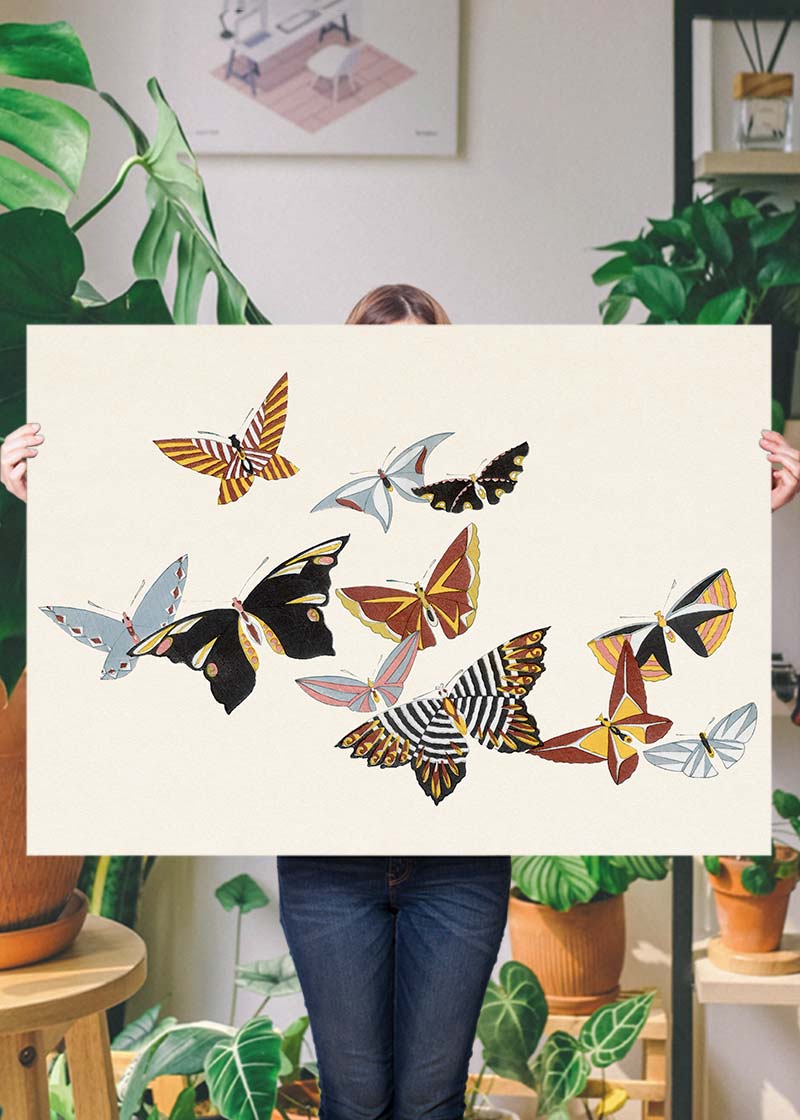 Butterflies painting by Kamisaka Sekka from 1908 – InkAndDrop